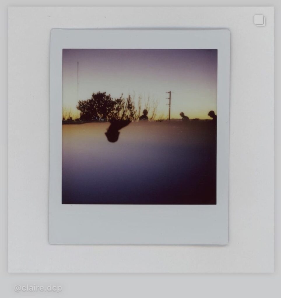 gallery – zinstax