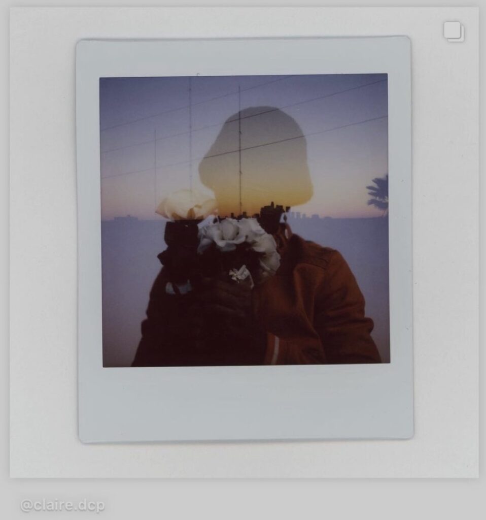gallery – zinstax
