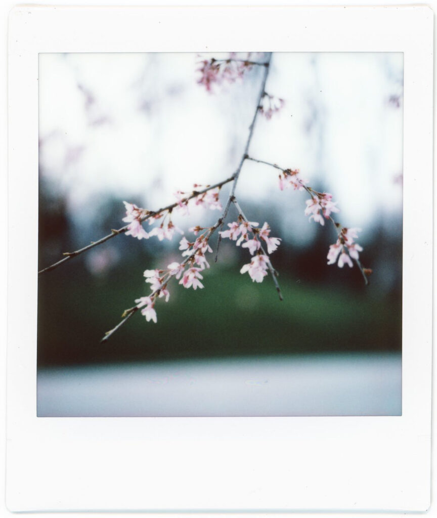 gallery – zinstax