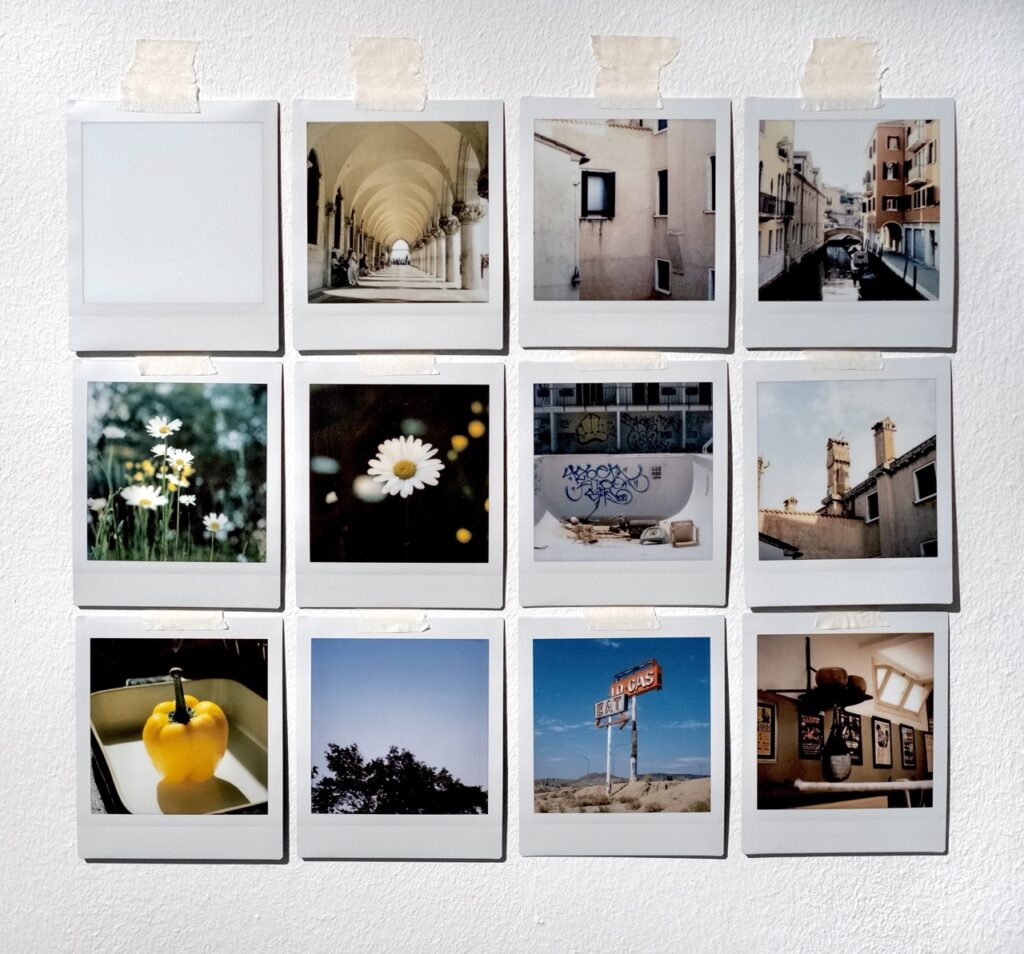 gallery – zinstax